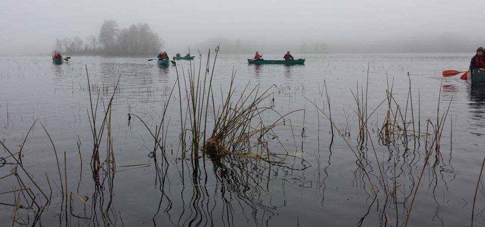 Wild Rice Seeding - Wisconsin Waterfowl Association