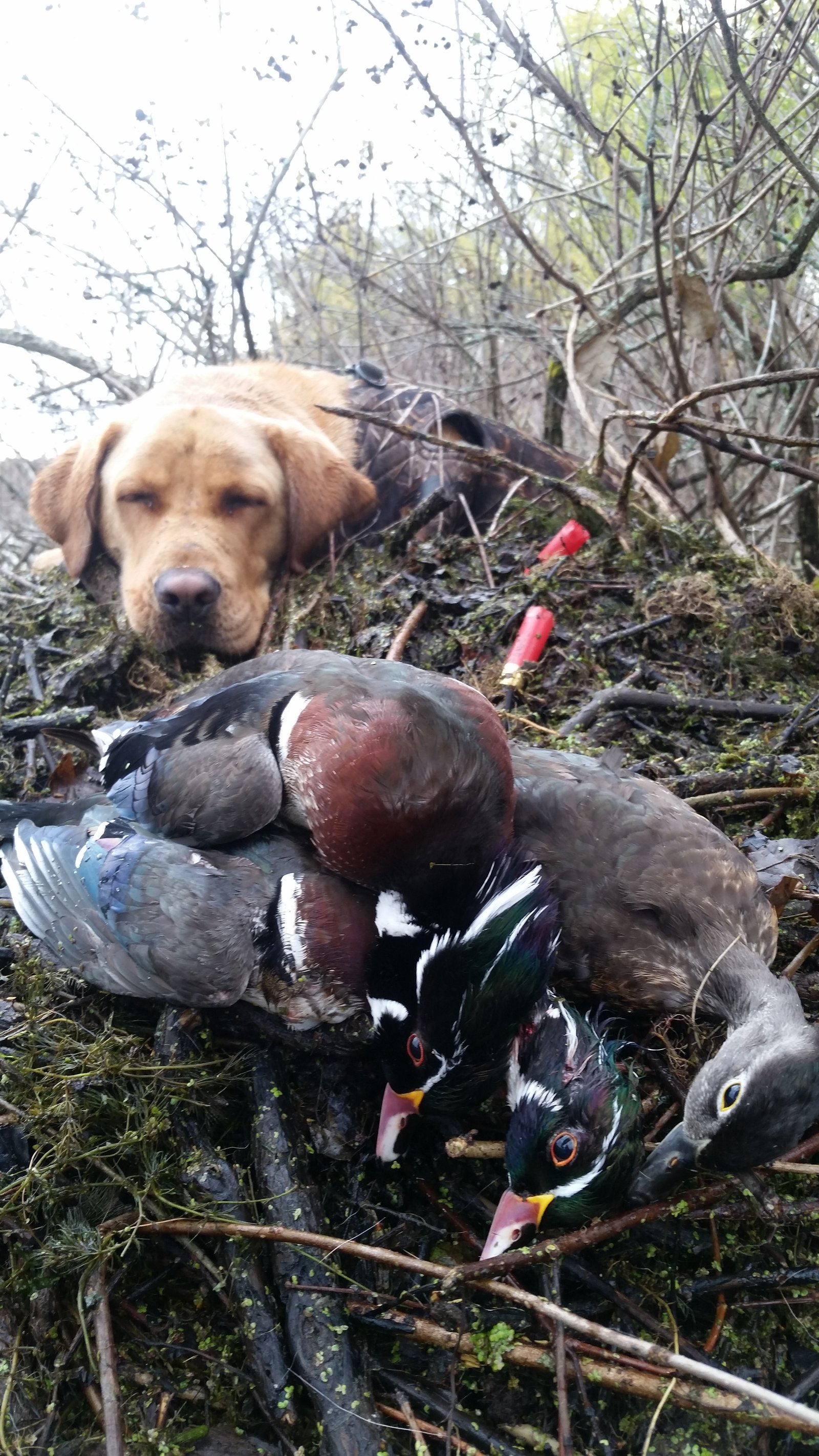 20171014_084505 - Wisconsin Waterfowl Association