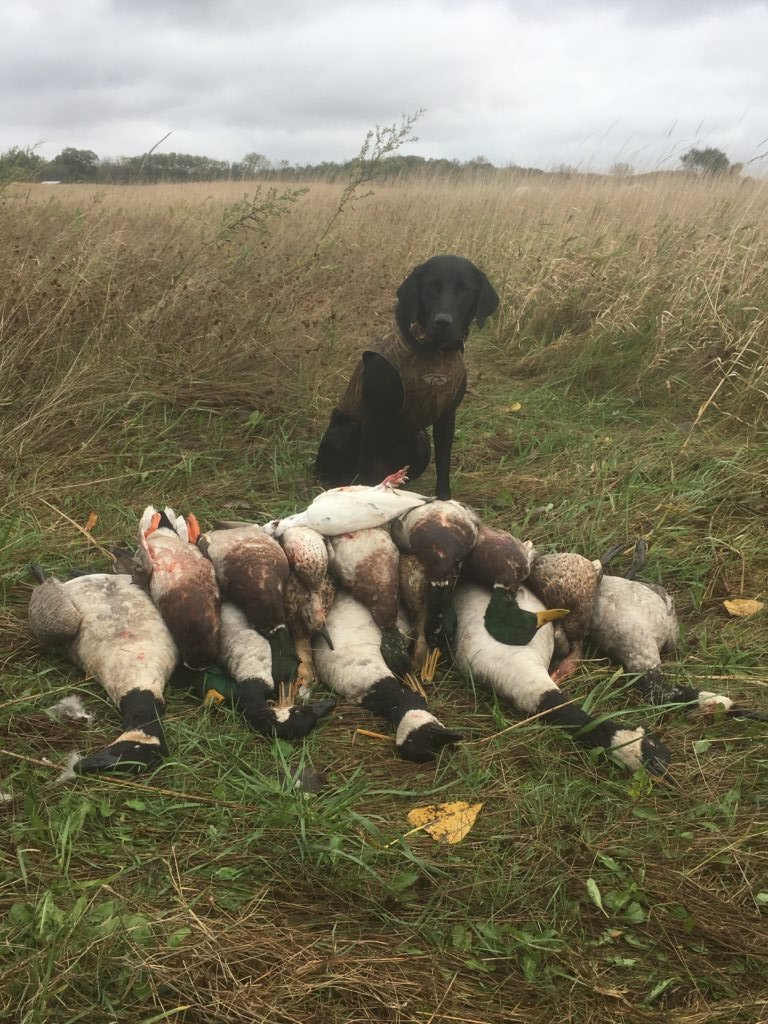 image3 - Wisconsin Waterfowl Association