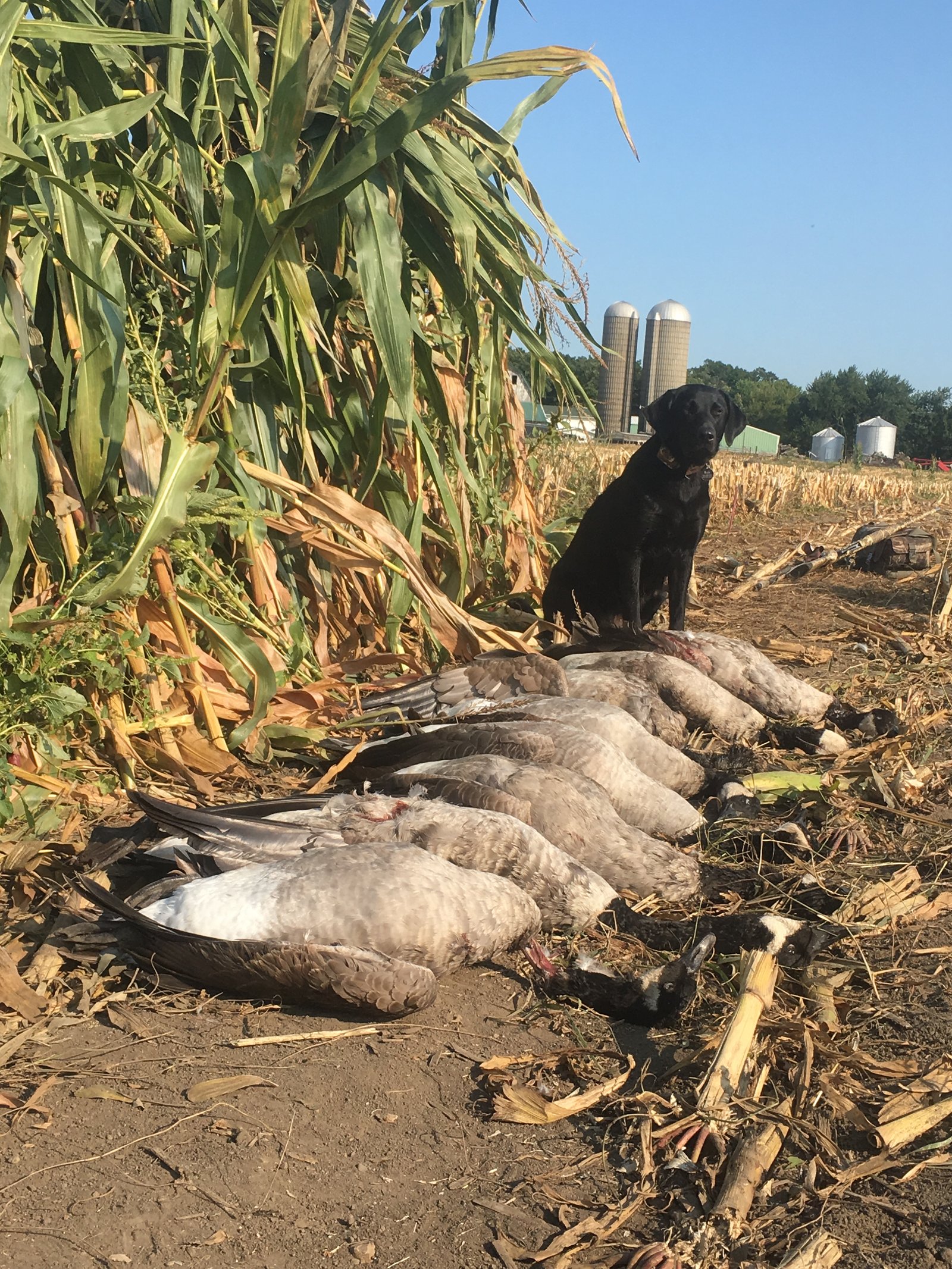 2019 Calendar Photos - Wisconsin Waterfowl Association