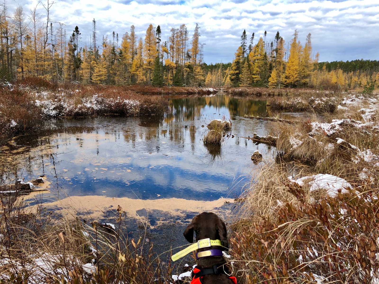 WDNR Conservation Wardens' Cold-Weather Hunting Safety Tips For You and ...