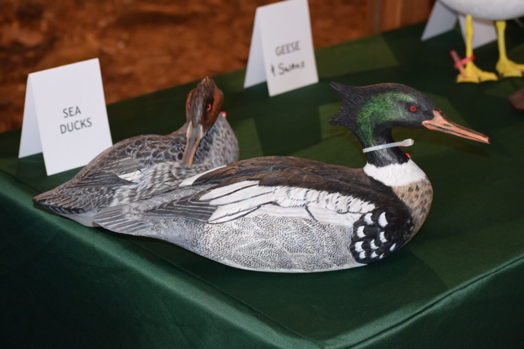 DSC_0111 - Wisconsin Waterfowl Association