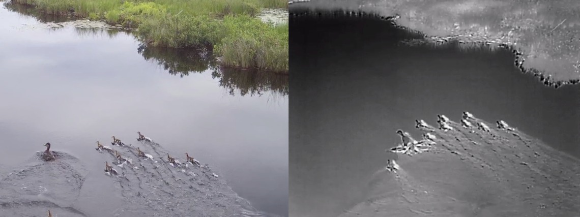 Drones and the Future of Waterfowl Research - Wisconsin Waterfowl ...