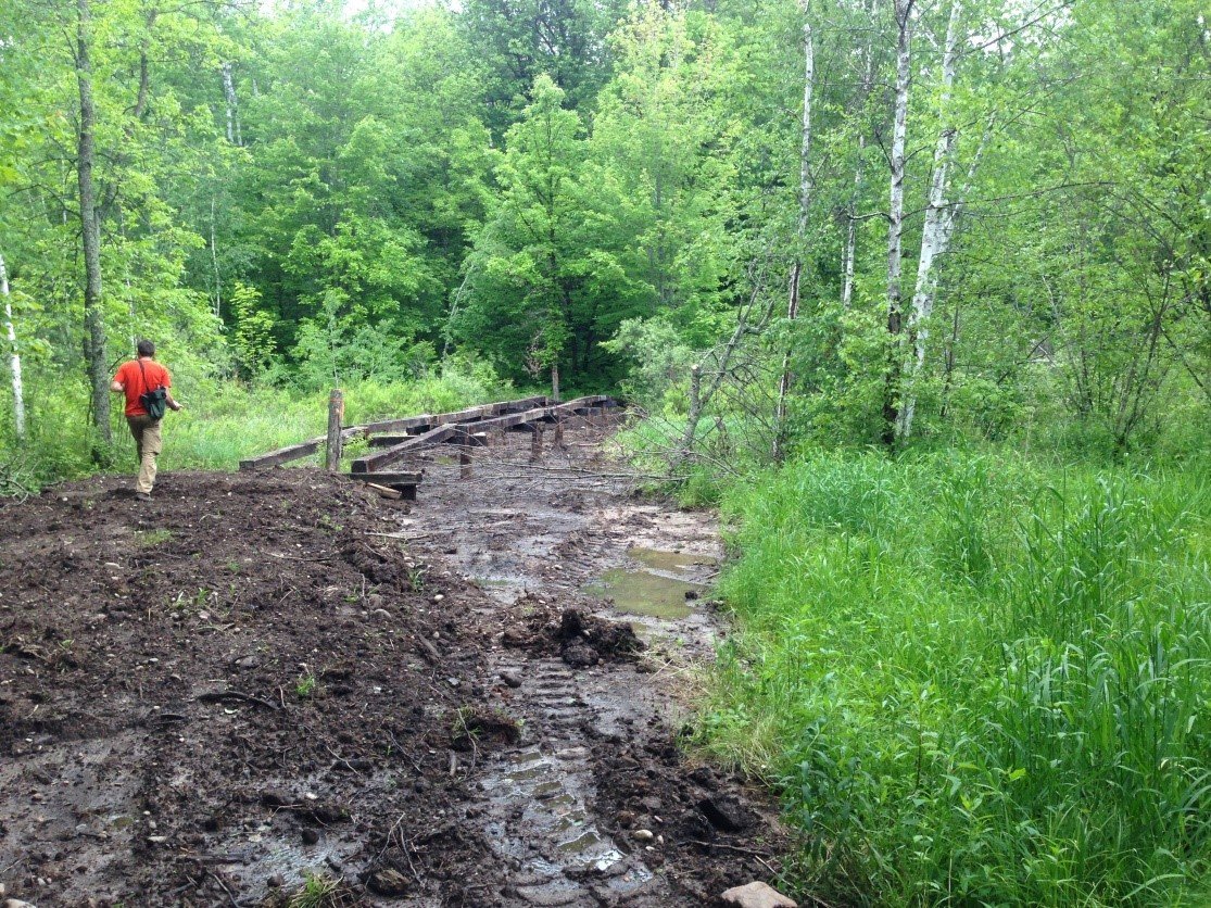 Wetland Laws: How They Work and How Wardens Enforce Them - Wisconsin ...