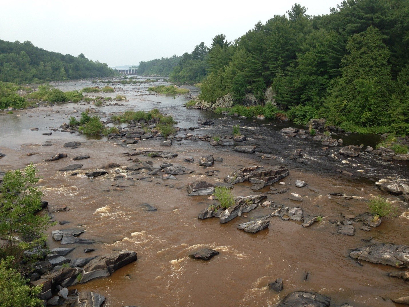 Wetland Laws: How They Work and How Wardens Enforce Them - Wisconsin ...