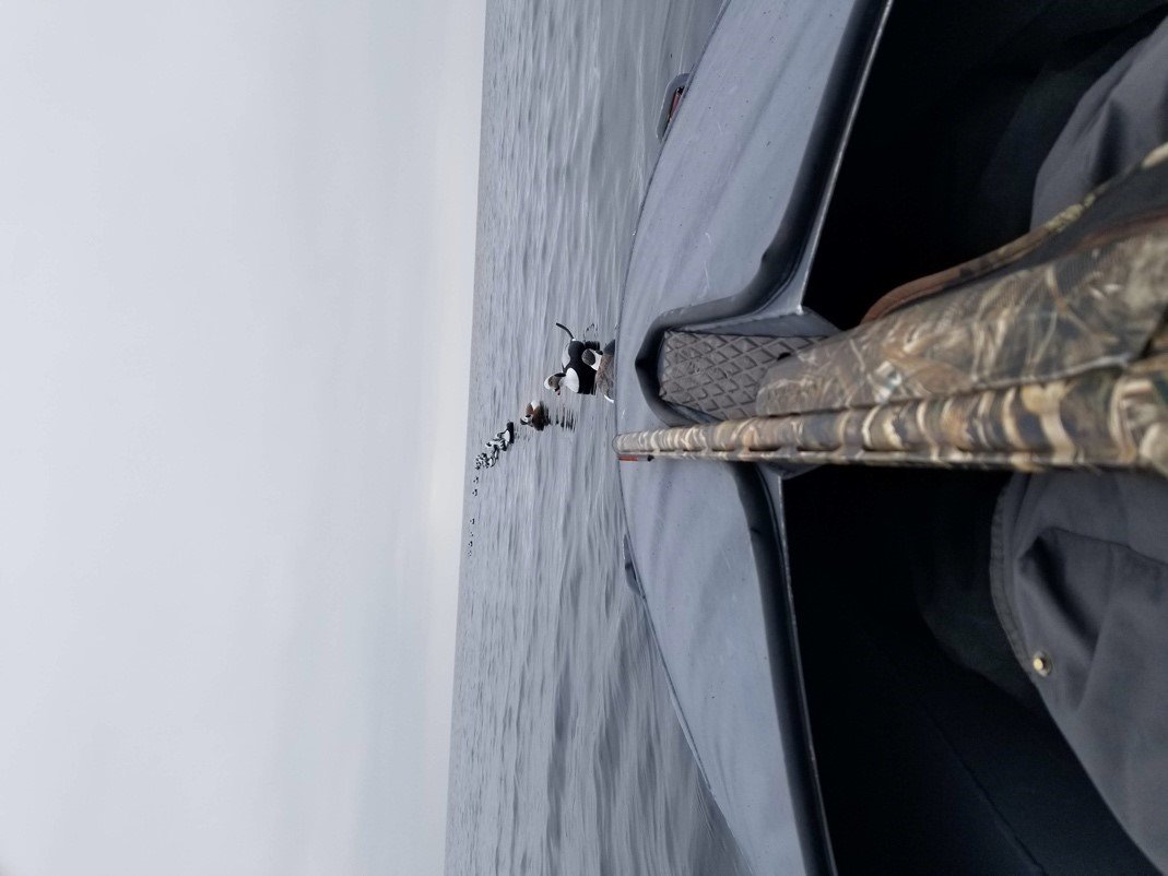 Open water hunting - Wisconsin Waterfowl Association