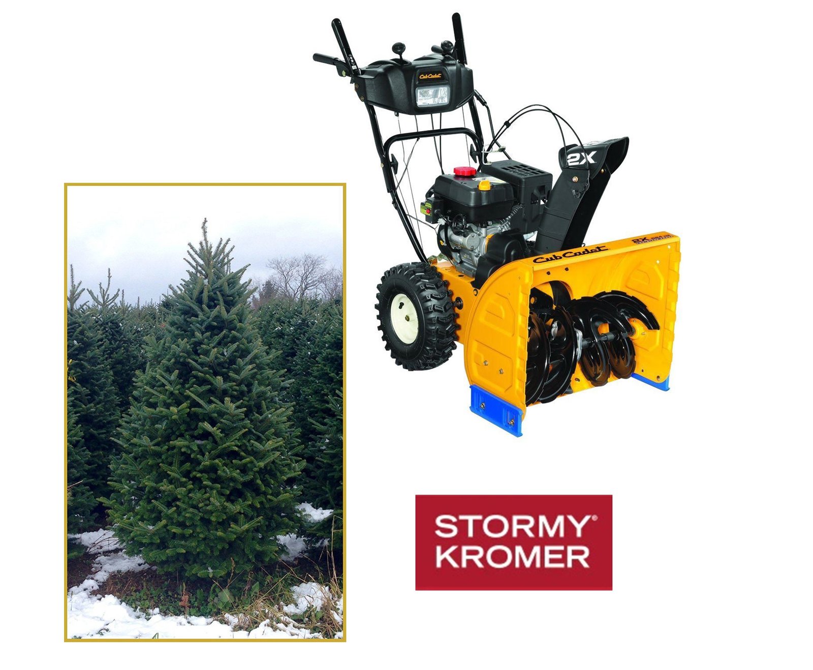 Snowblower, XMas Tree & Kromer Raffle Archives - Wisconsin Waterfowl ...