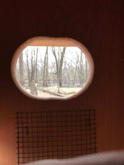 Valley Chapter Partners with Eagle Scout for Wood Duck Nesting Project ...