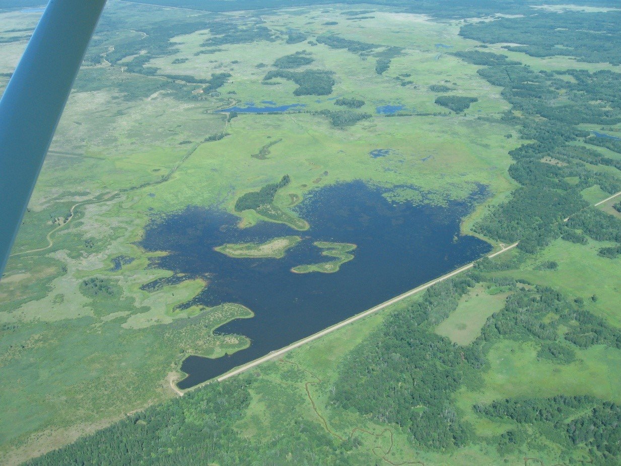 Waterfowl Hunters and Wild Rice - Wisconsin Waterfowl Association