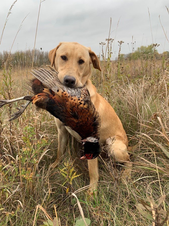 Prime Time - Wisconsin Waterfowl Association