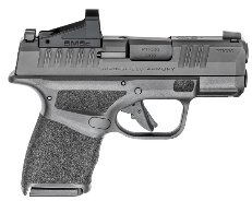 Hellcat with shield smsc red dot - Wisconsin Waterfowl Association