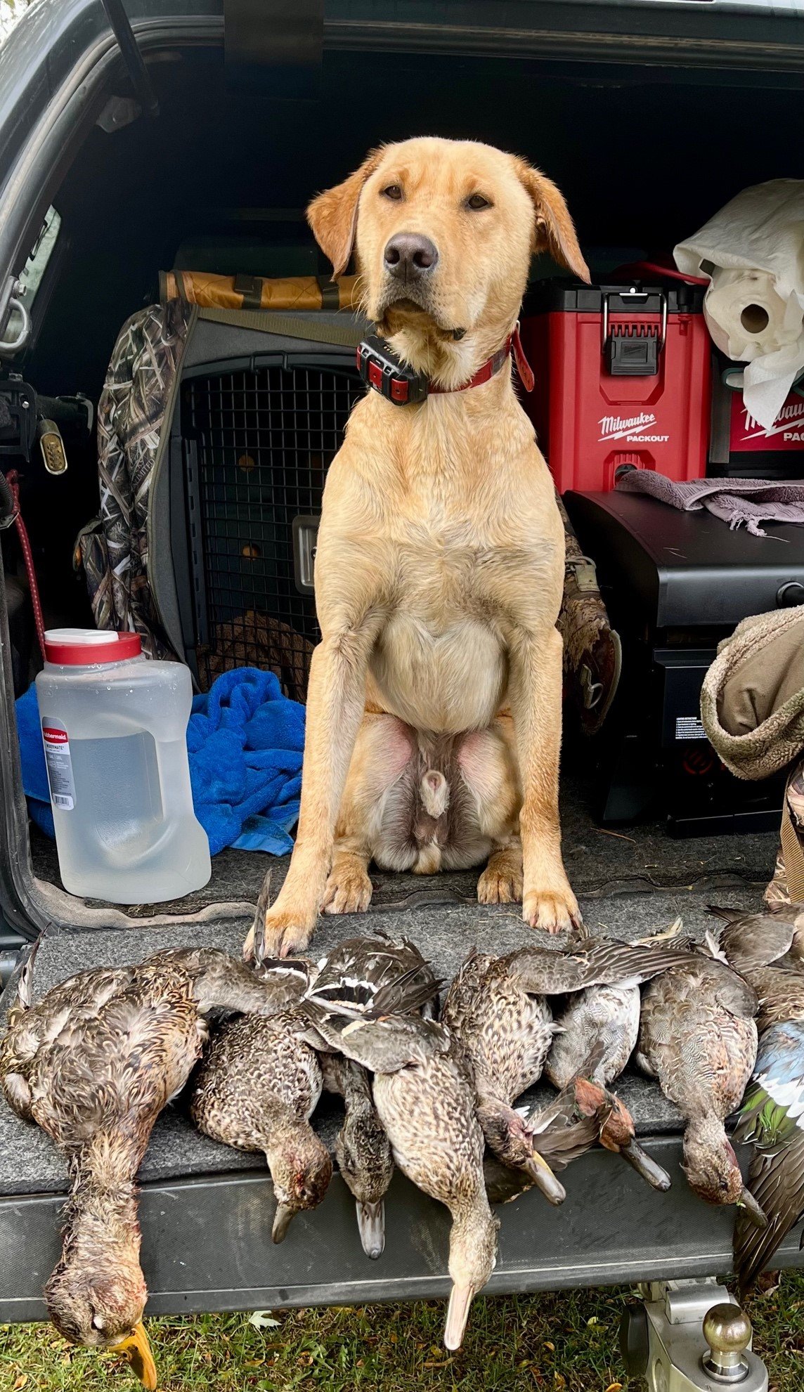 Making the Most of It - Wisconsin Waterfowl Association