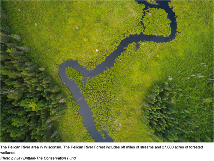 Pelican River Forest Project Funding Under Consideration by Joint ...