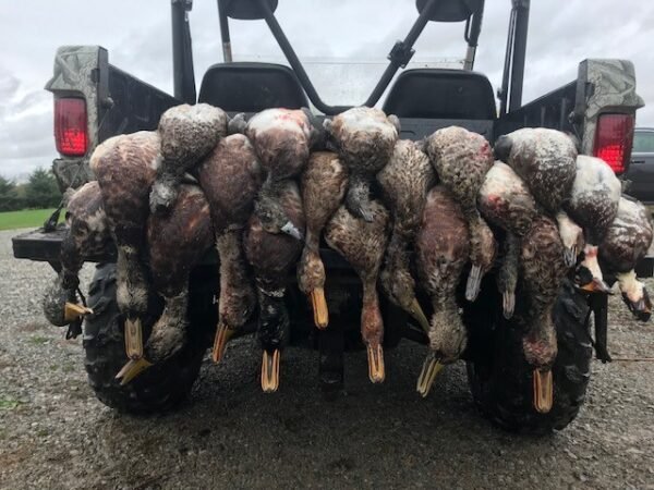 The Evolution of Duck Hunters - Wisconsin Waterfowl Association