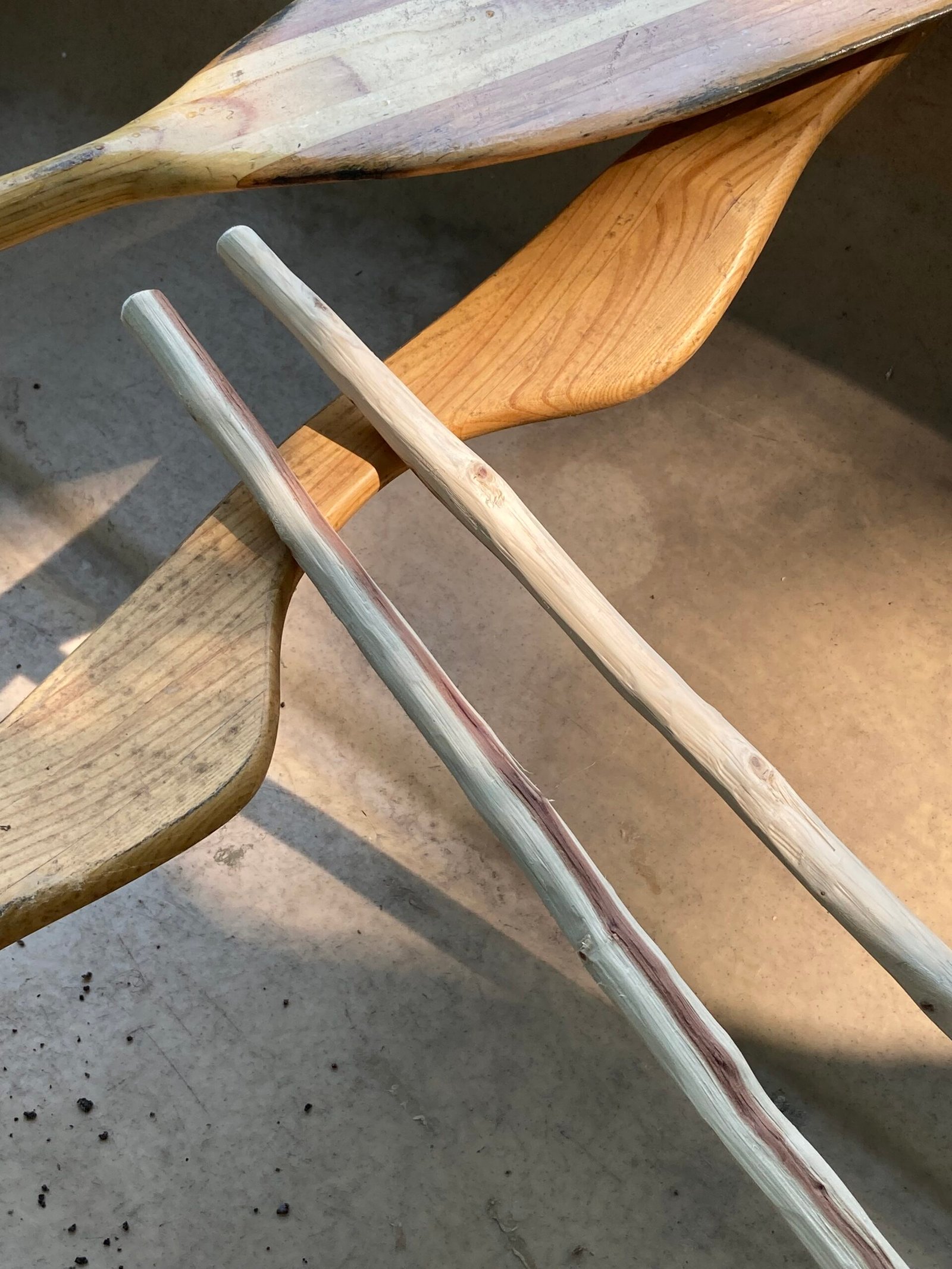 It’s Elementary: Protecting Our Investment in Wild Rice - Wisconsin ...