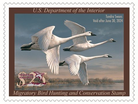 Federal Duck Stamp Modernization Act - Wisconsin Waterfowl Association