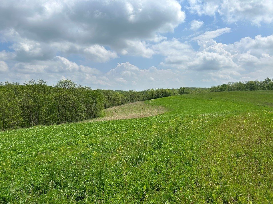 NRCS Part Two: Conservation Reserve Program - Wisconsin Waterfowl ...