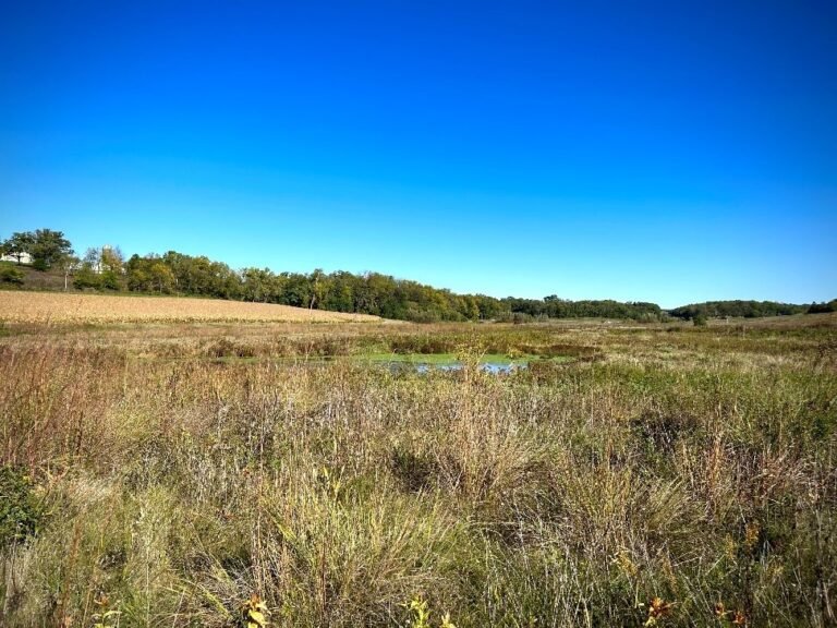 WWA Ecologists Begin Wetland Monitoring for NRCS - Wisconsin Waterfowl ...