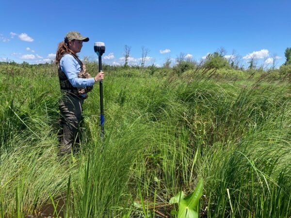 We're Hiring: Full-time Biologist Position - Wisconsin Waterfowl ...
