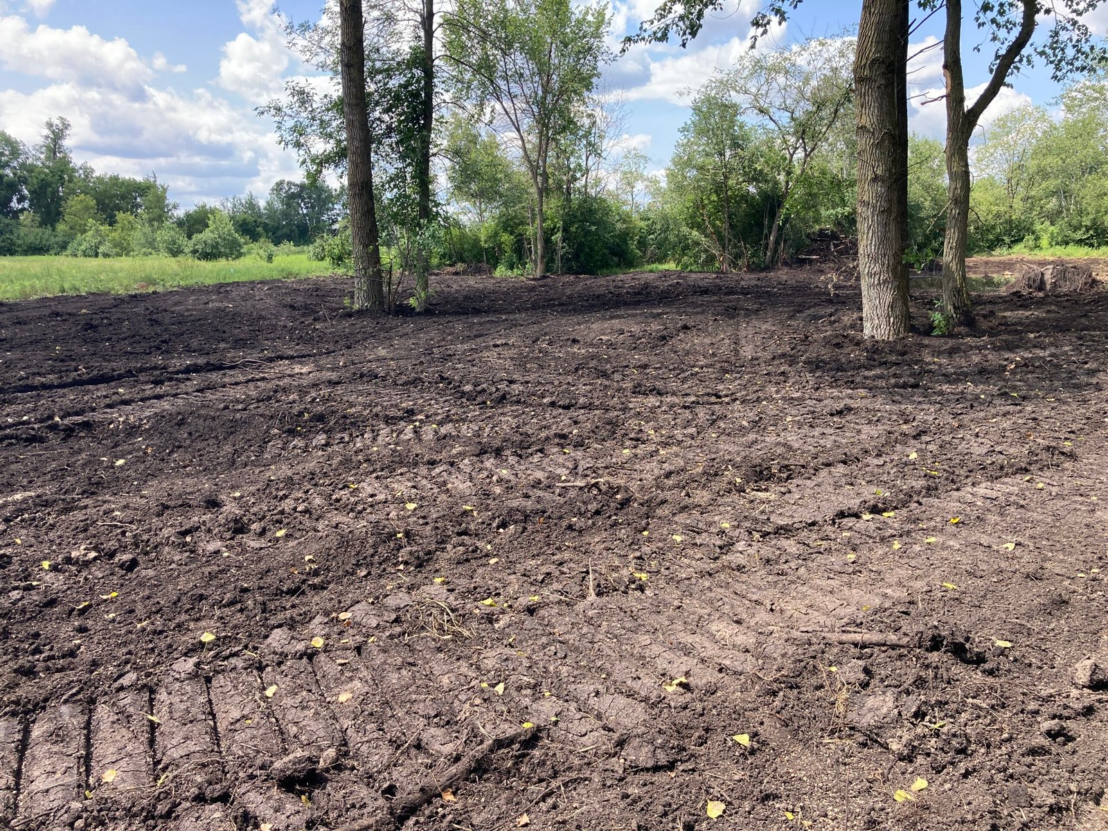 Finished ditch plug - Wisconsin Waterfowl Association