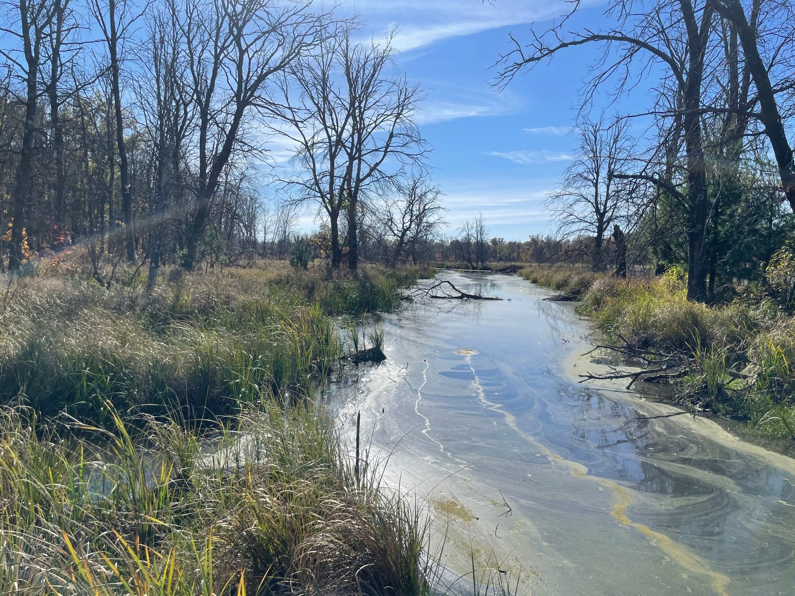 Wetland Restoration Begins in Little Yellow River Watershed - Wisconsin ...