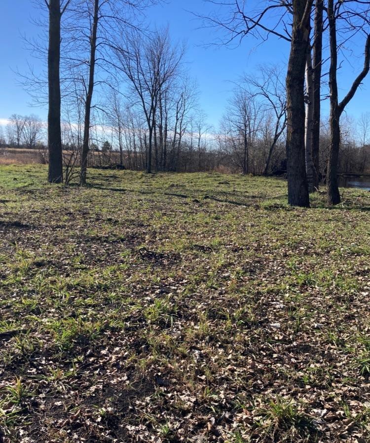 Navarino project - ditch plug after - Wisconsin Waterfowl Association